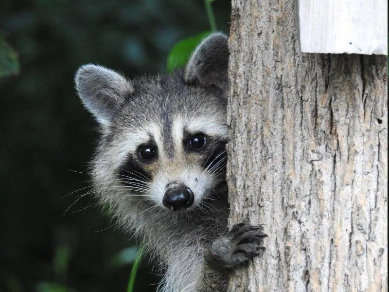 Why Two Families Preserved Their Farms in Colts Neck, NJ — MCF