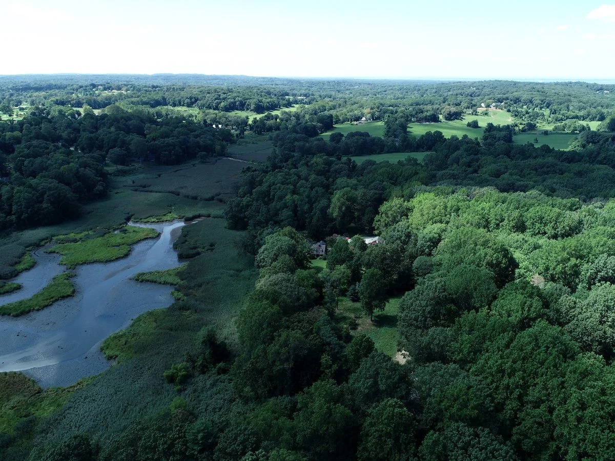 The Value of Land Preservation: Permanently Protecting Green Space ...