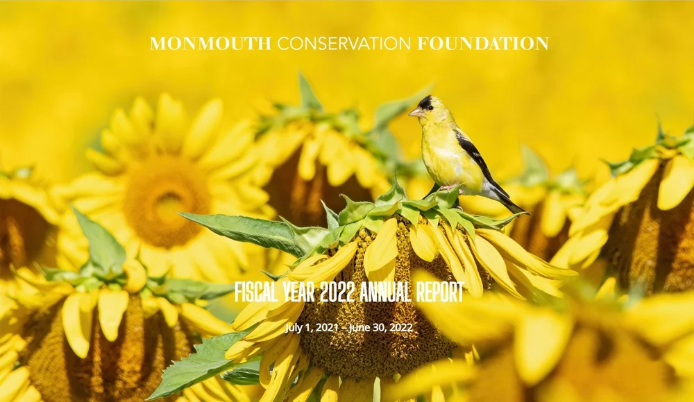 MCF Annual Report — MCF