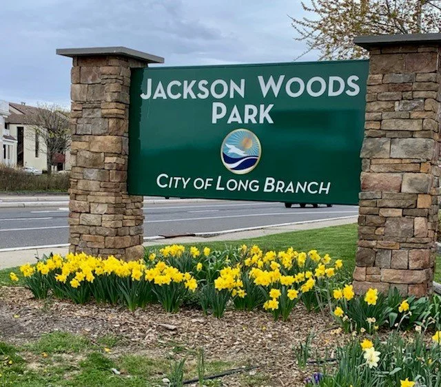 Citizens Transform Long-Neglected Green Space into Community Park with ...