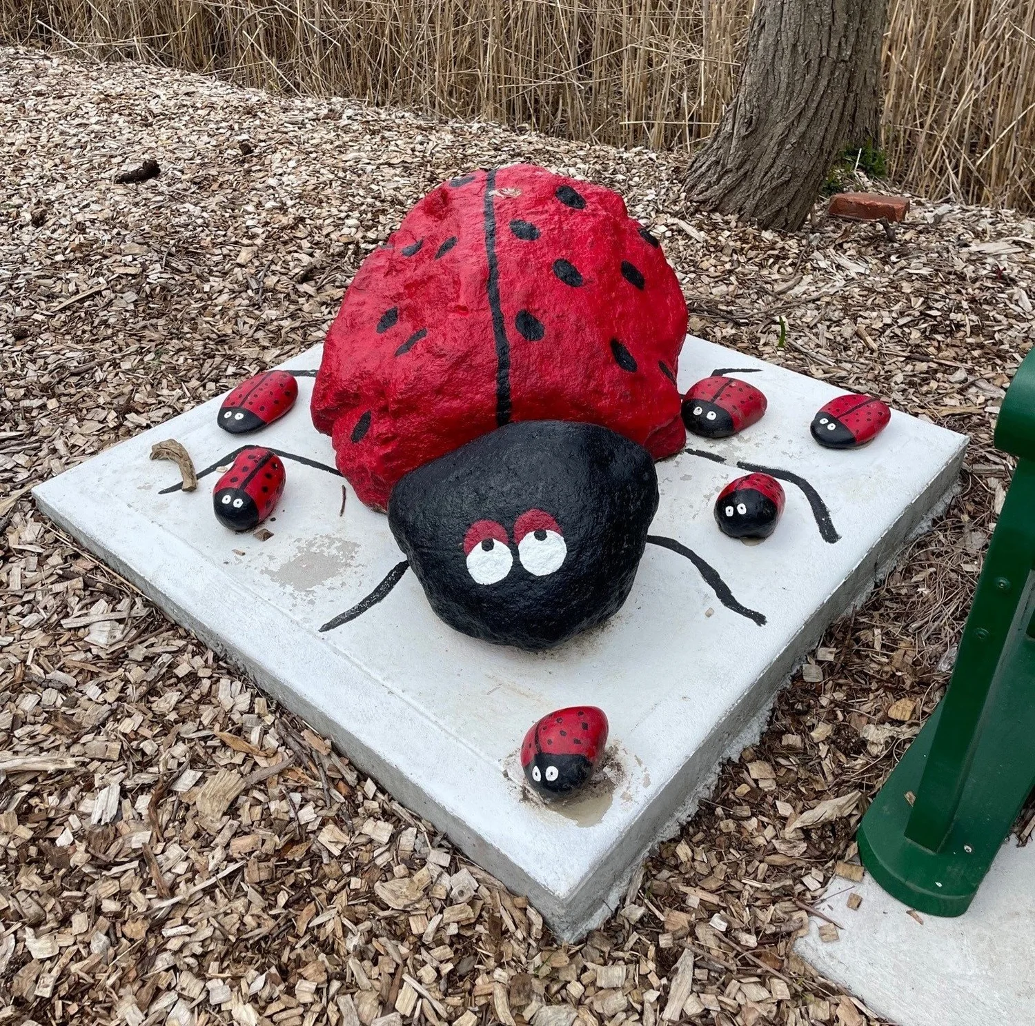 Citizens Transform Long-Neglected Green Space into Community Park with ...