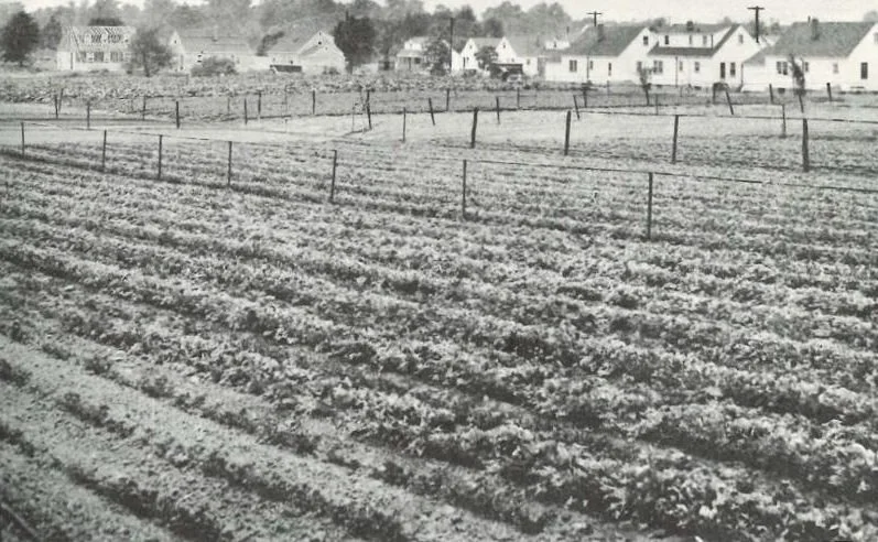 Why Two Families Preserved Their Farms in Colts Neck, NJ — MCF