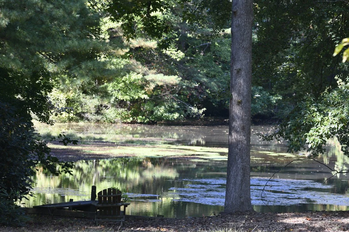 Scudder Preserve — MCF