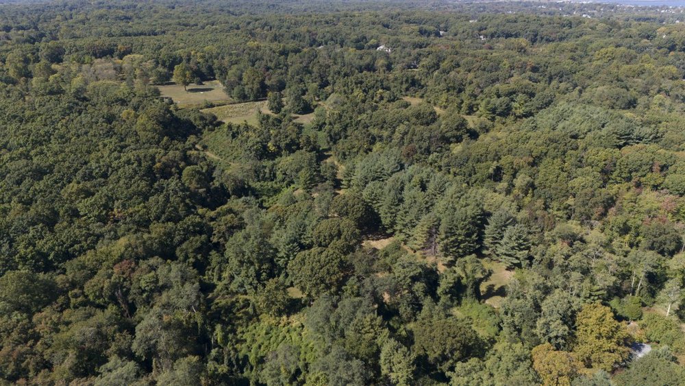 Scudder Preserve — MCF