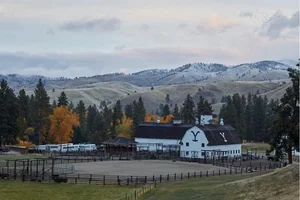 “Yellowstone” Dutton Family Employs a Surprising Tactic to Save their ...