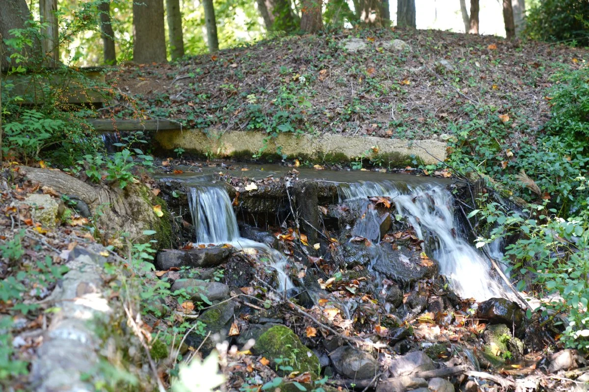 Scudder Preserve — MCF