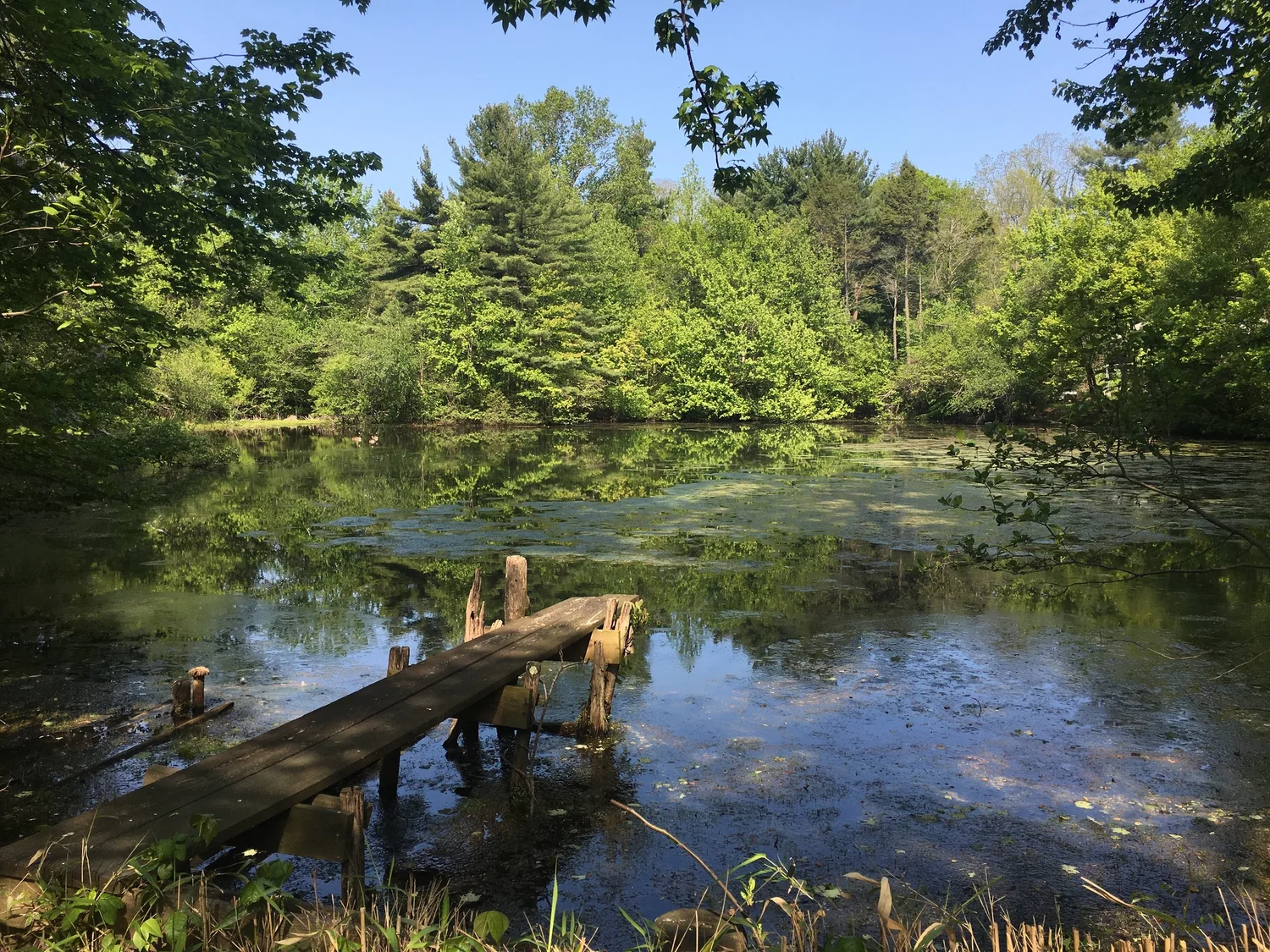 New Jersey Audubon and Monmouth Conservation Foundation Partner to ...