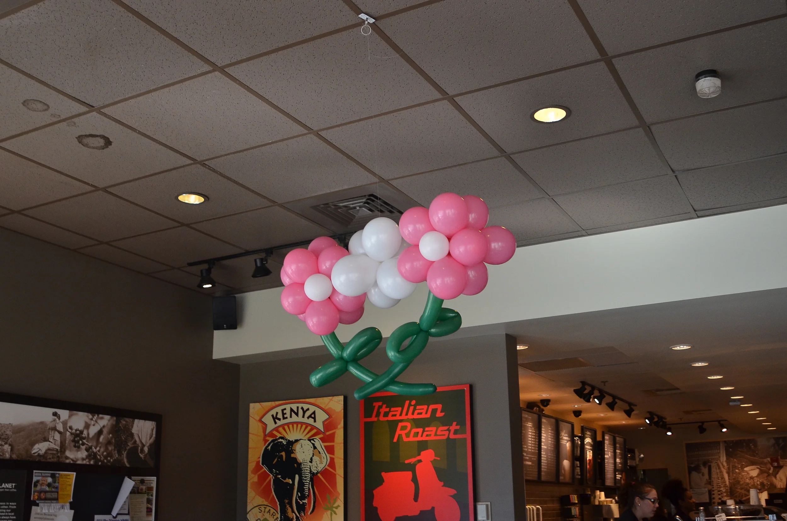 Birthday — Elevated Balloon Decor