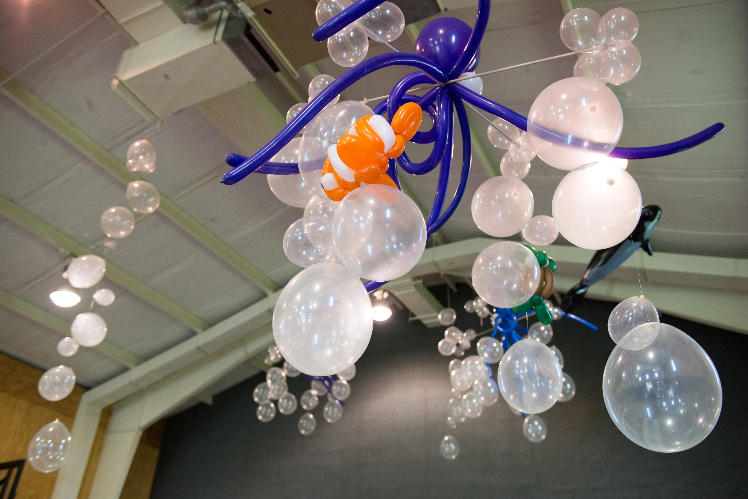 Birthday — Elevated Balloon Decor