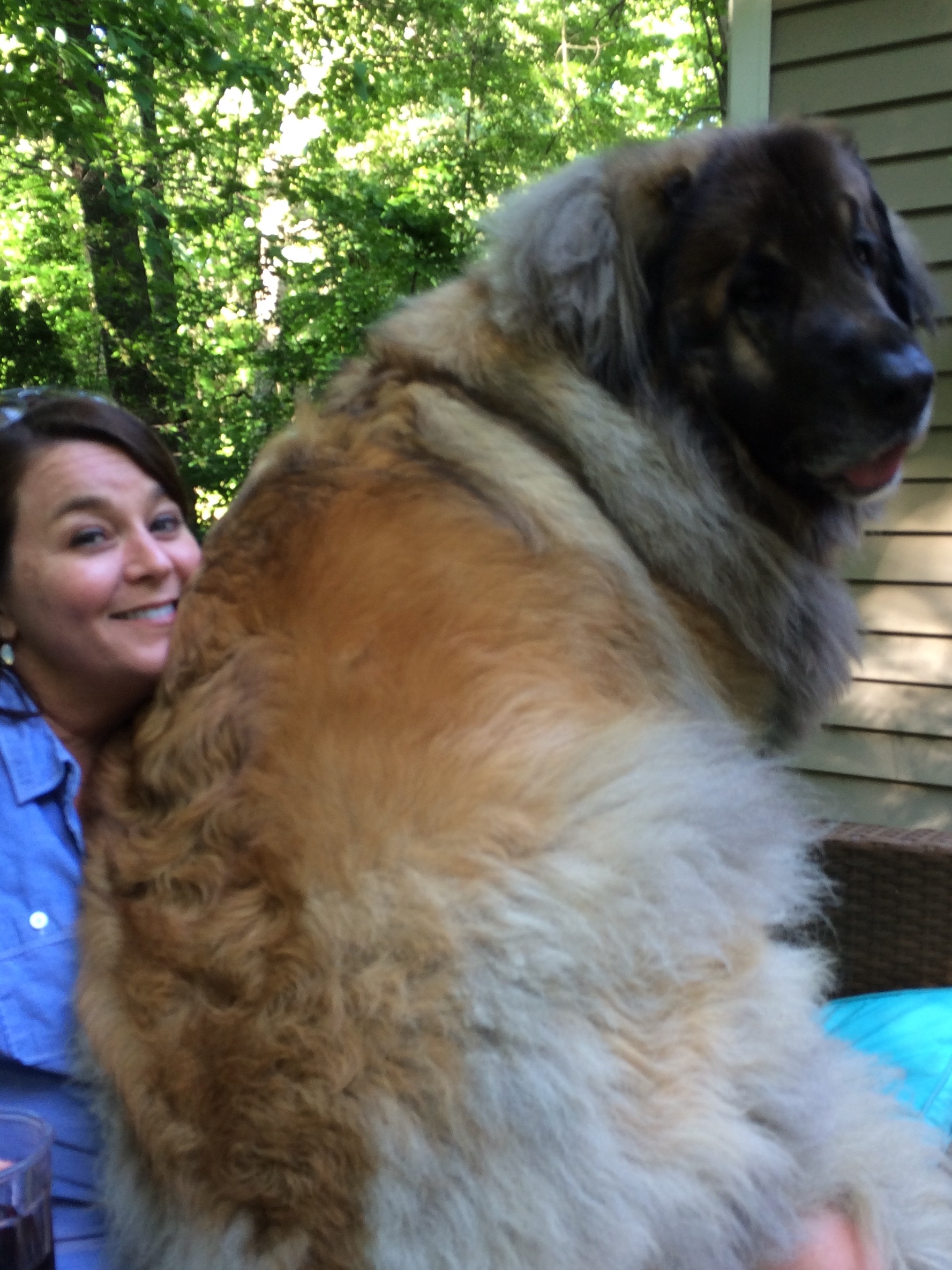 Dunstan Animal Care Clinic