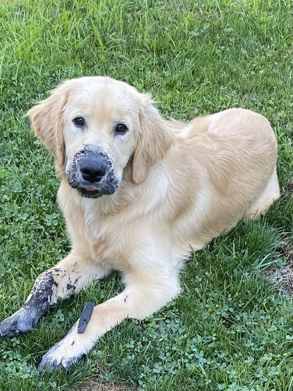 Meet our staff — Dunstan Animal Care Clinic