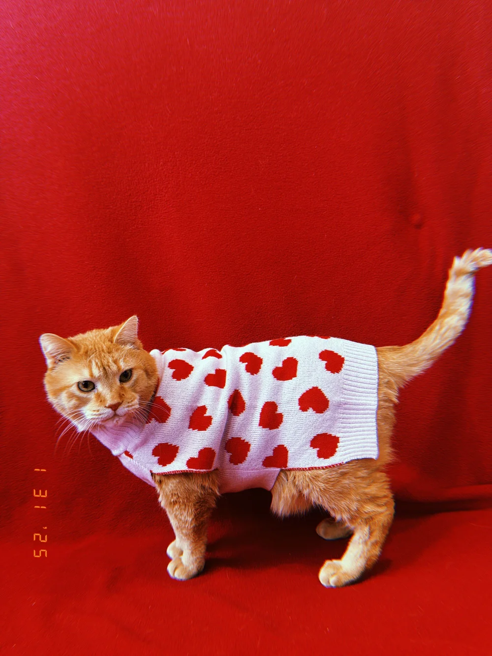 Meet our staff — Dunstan Animal Care Clinic