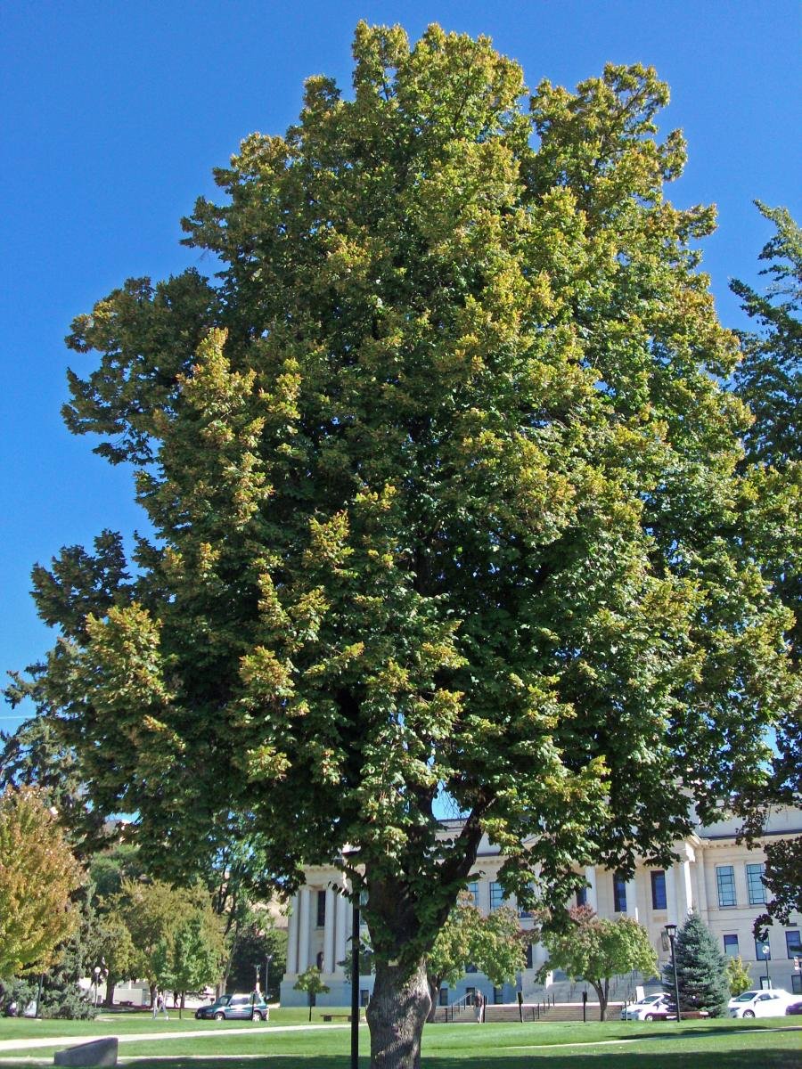 Scenic Nature Walk in the Heart of Salt Lake City — The Family Support ...