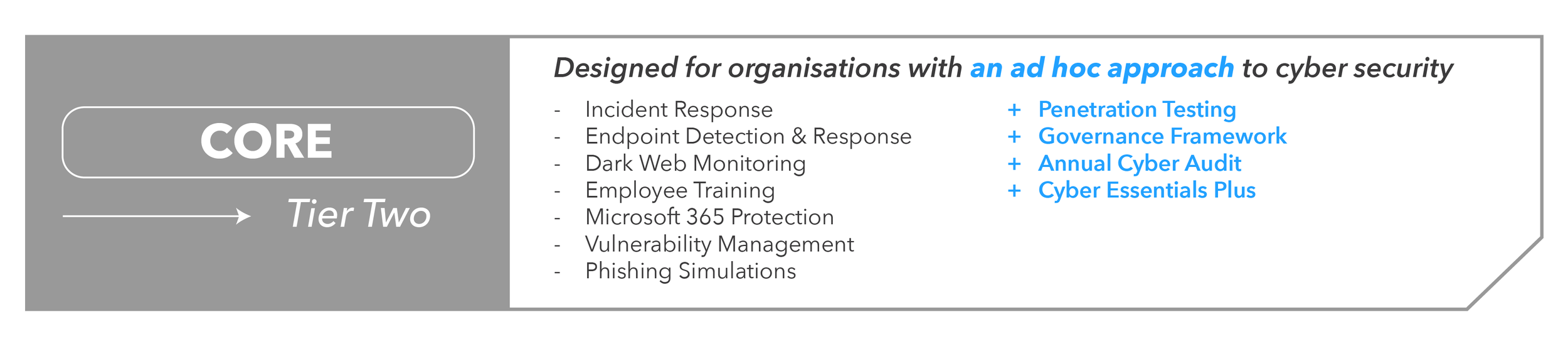 Explore our Cyber Security Services | PureCyber Experts | PureCyber
