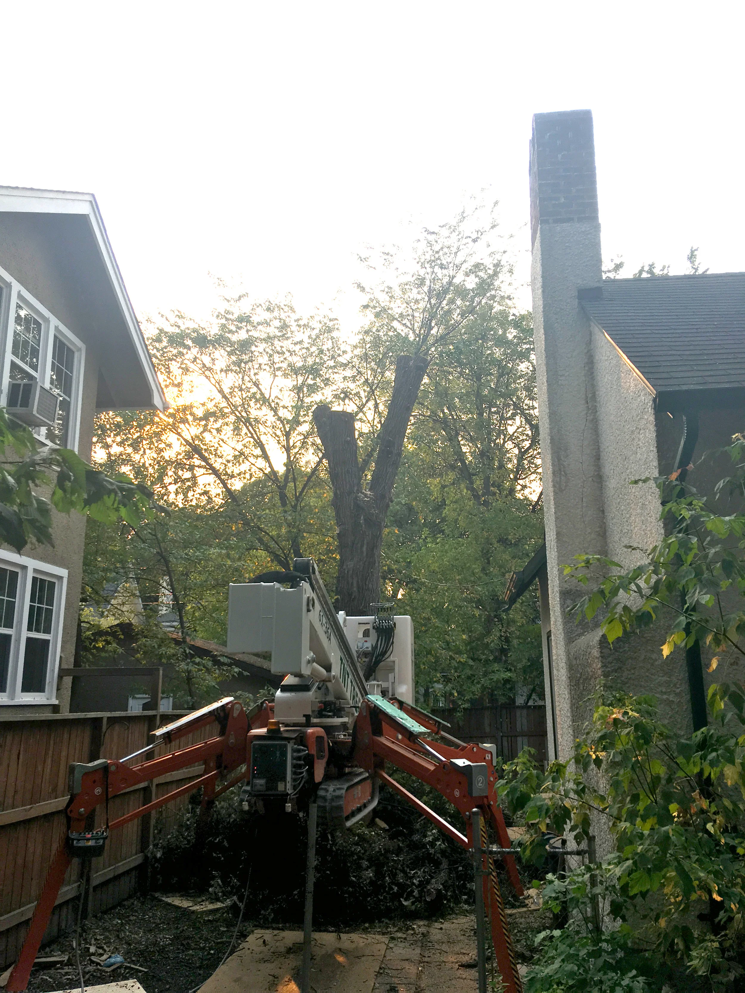 Winnipeg Tree Services | TNT Tree Arborists — TNT Tree