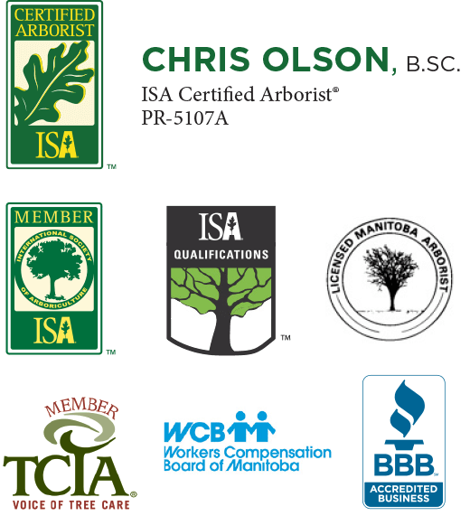 About Us | TNT Tree Arborists — TNT Tree