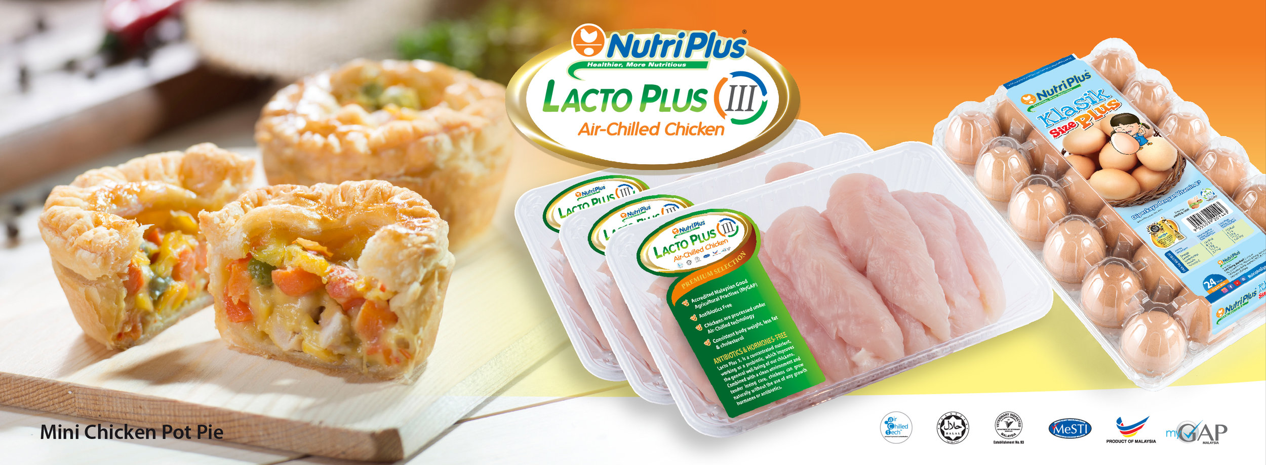 Home Nutriplus Eggs