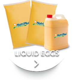 Home Nutriplus Eggs