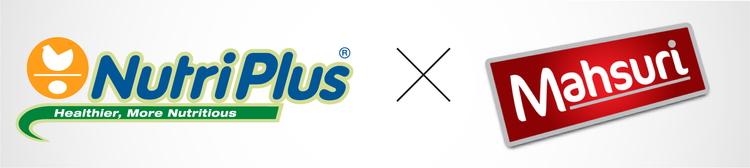 Nutriplus X Mahsuri Citarasaku