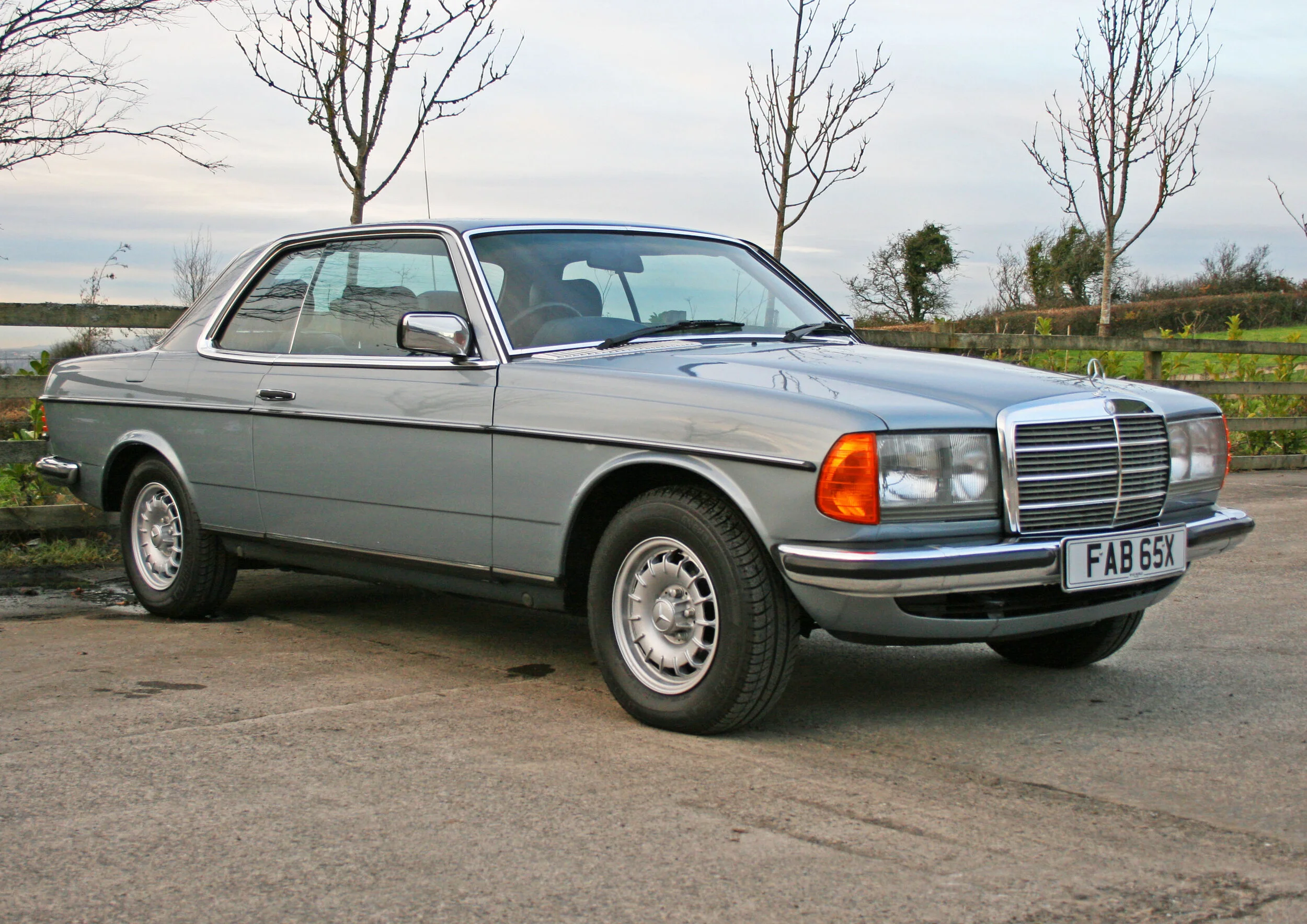 1981 MERCEDES BENZ 280CE (W123) — W.D.WINS