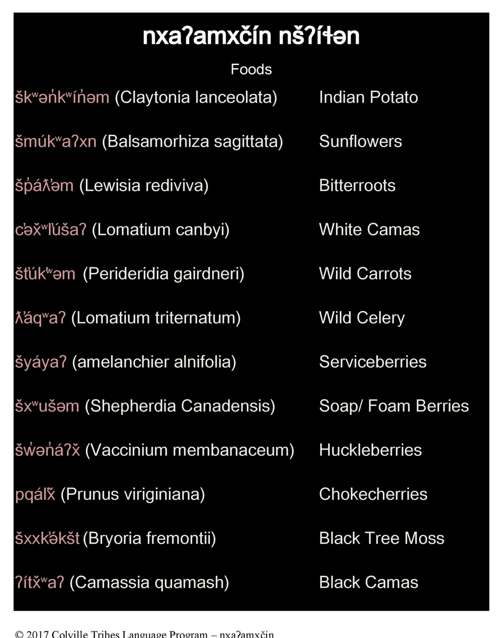 Traditional Foods — Colville Tribes Language Program