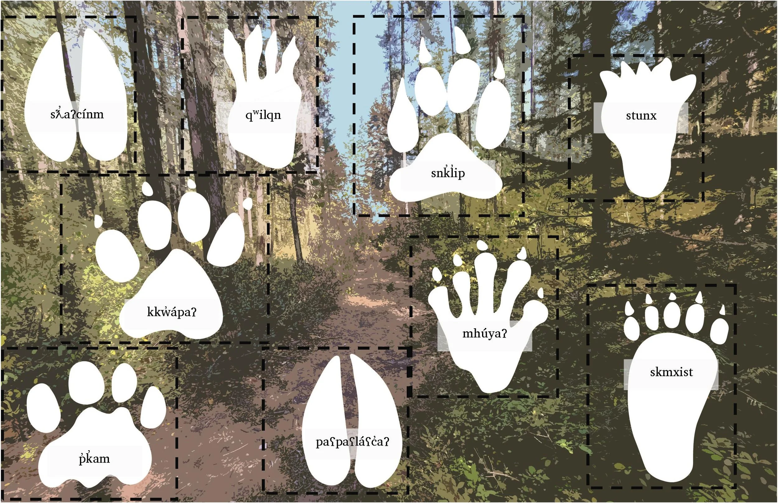 Animals — Colville Tribes Language Program