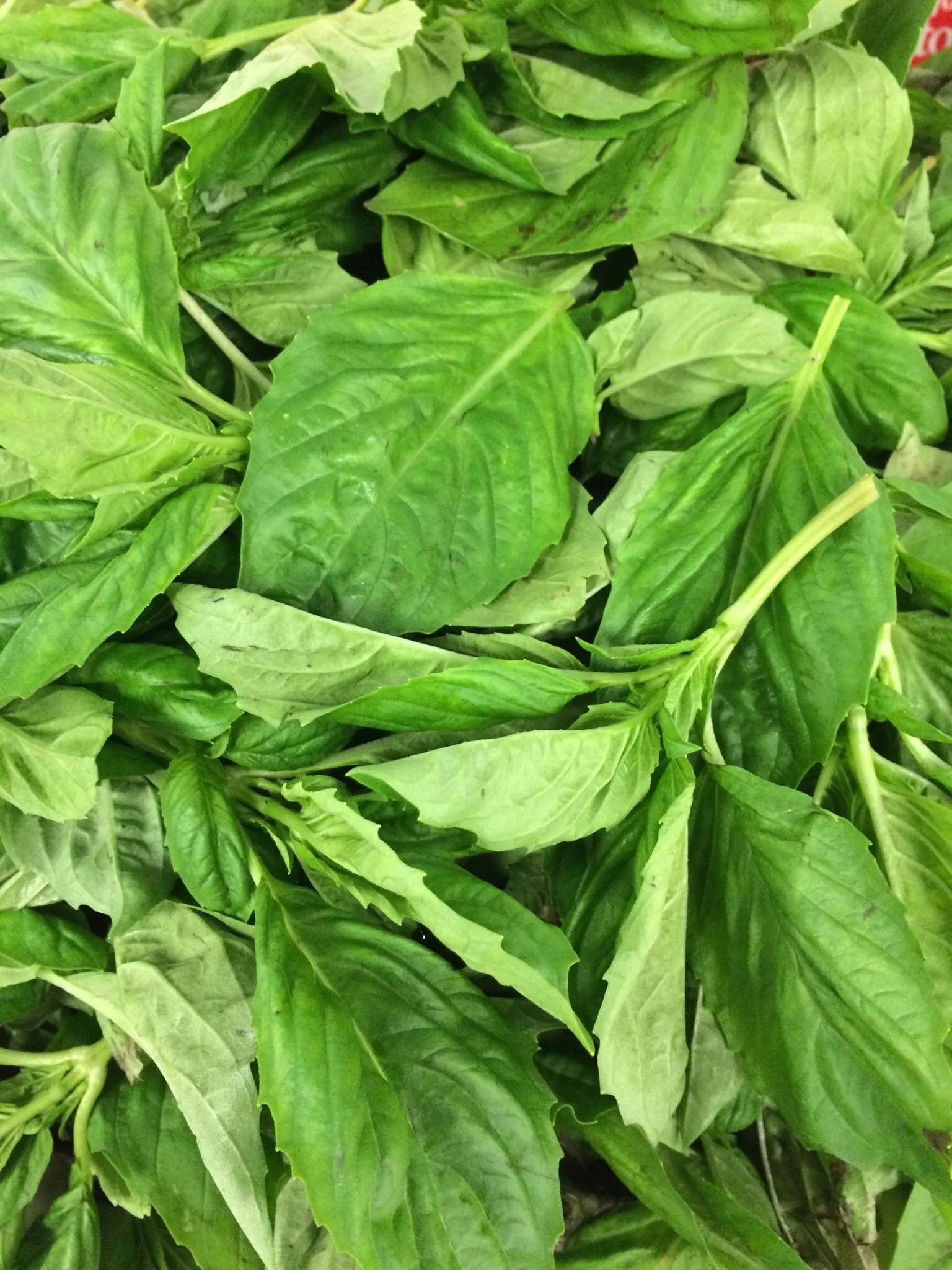 Pasta Mami How To's — Pasta Mami