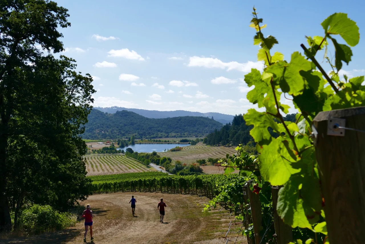 Run for the Oaks 5K/10K — Left Coast Estate