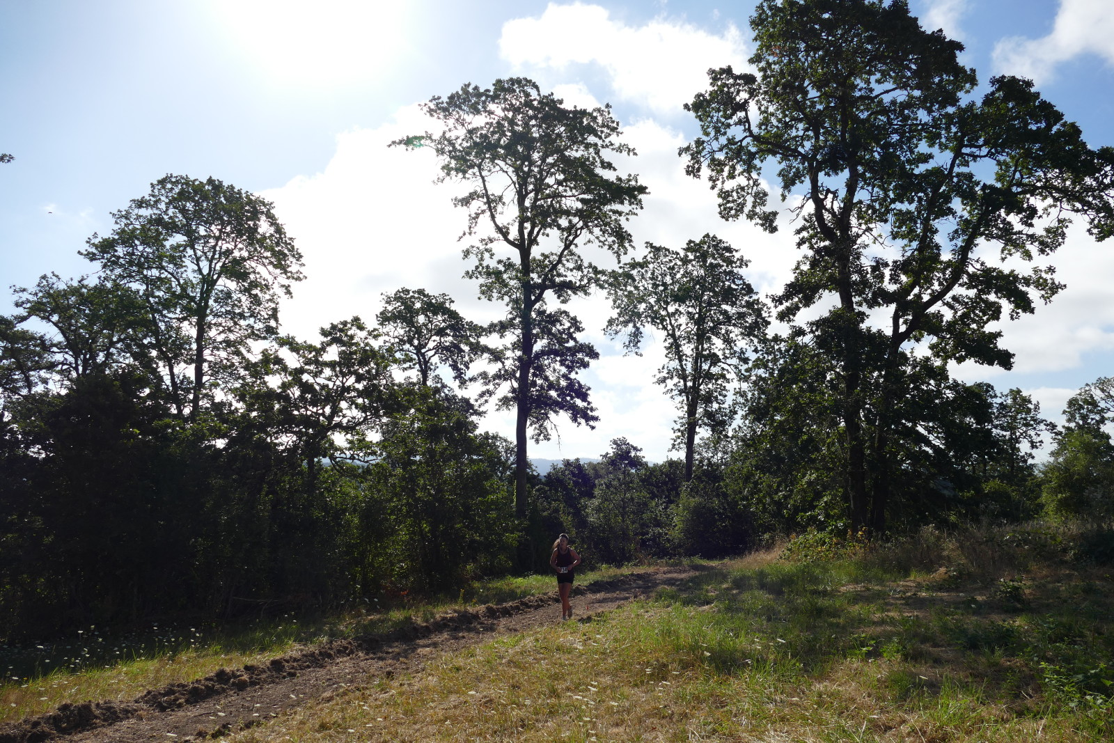 Run for the Oaks 5K/10K — Left Coast Estate