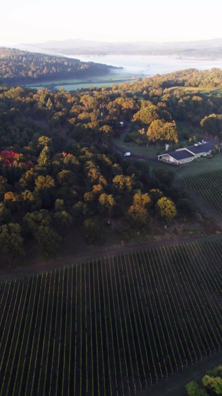 Sustainable Wines from Oregon's Willamette Valley