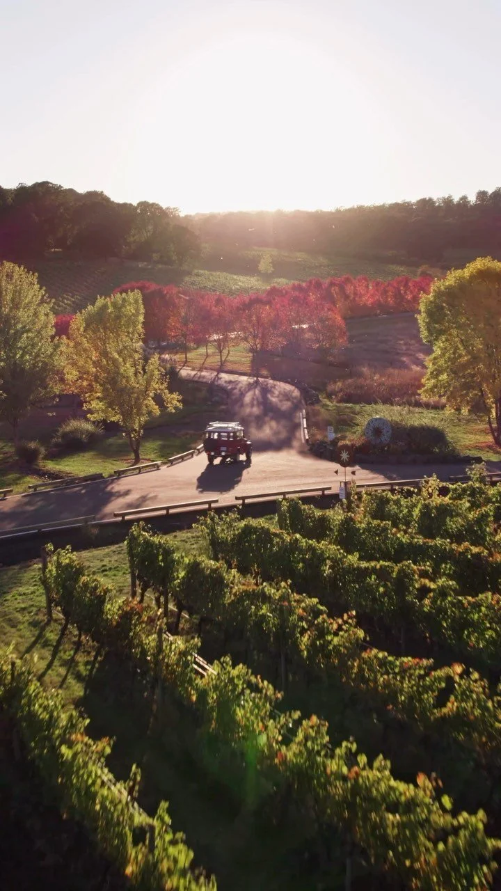 Sustainable Wines from Oregon's Willamette Valley