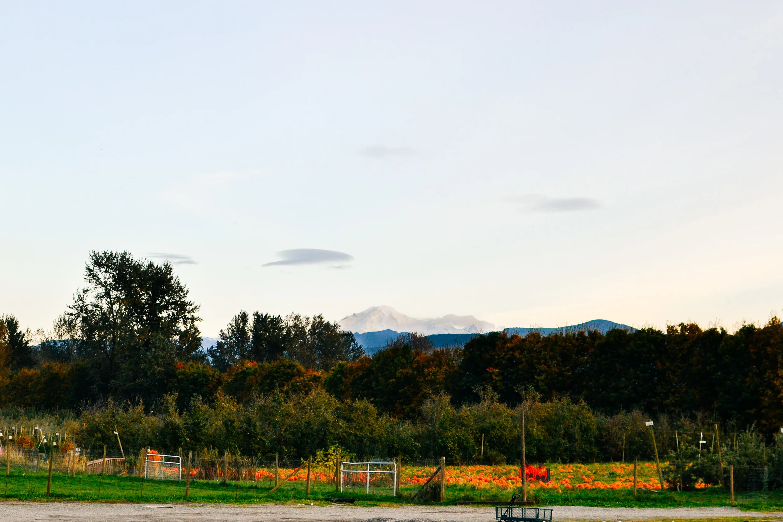 Location — Willow View Farms