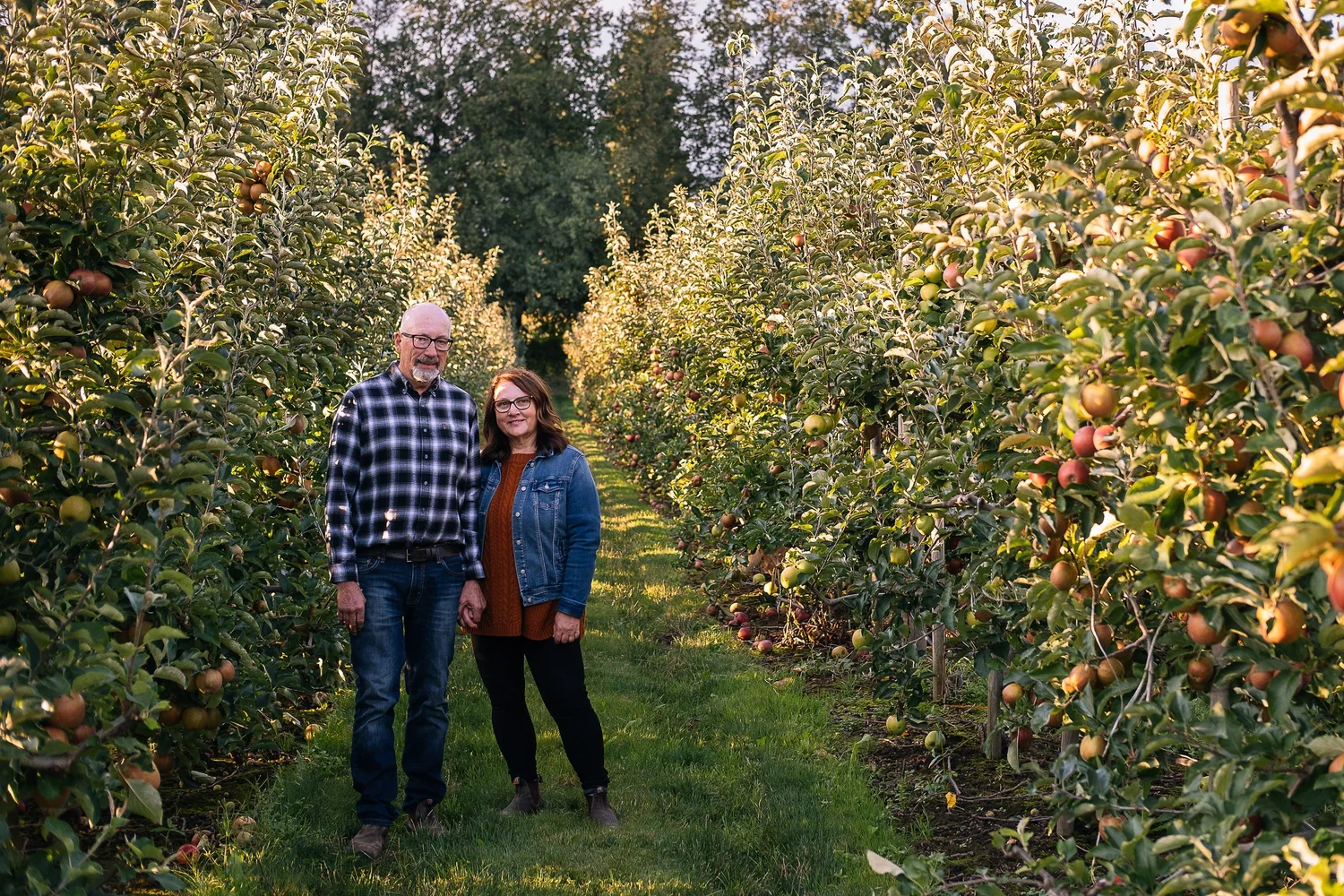 Willow View Farms