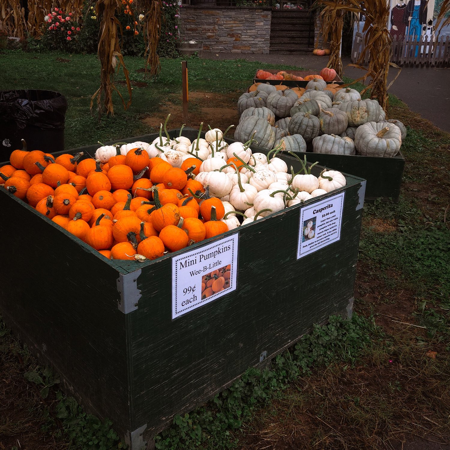 Willow View Farms