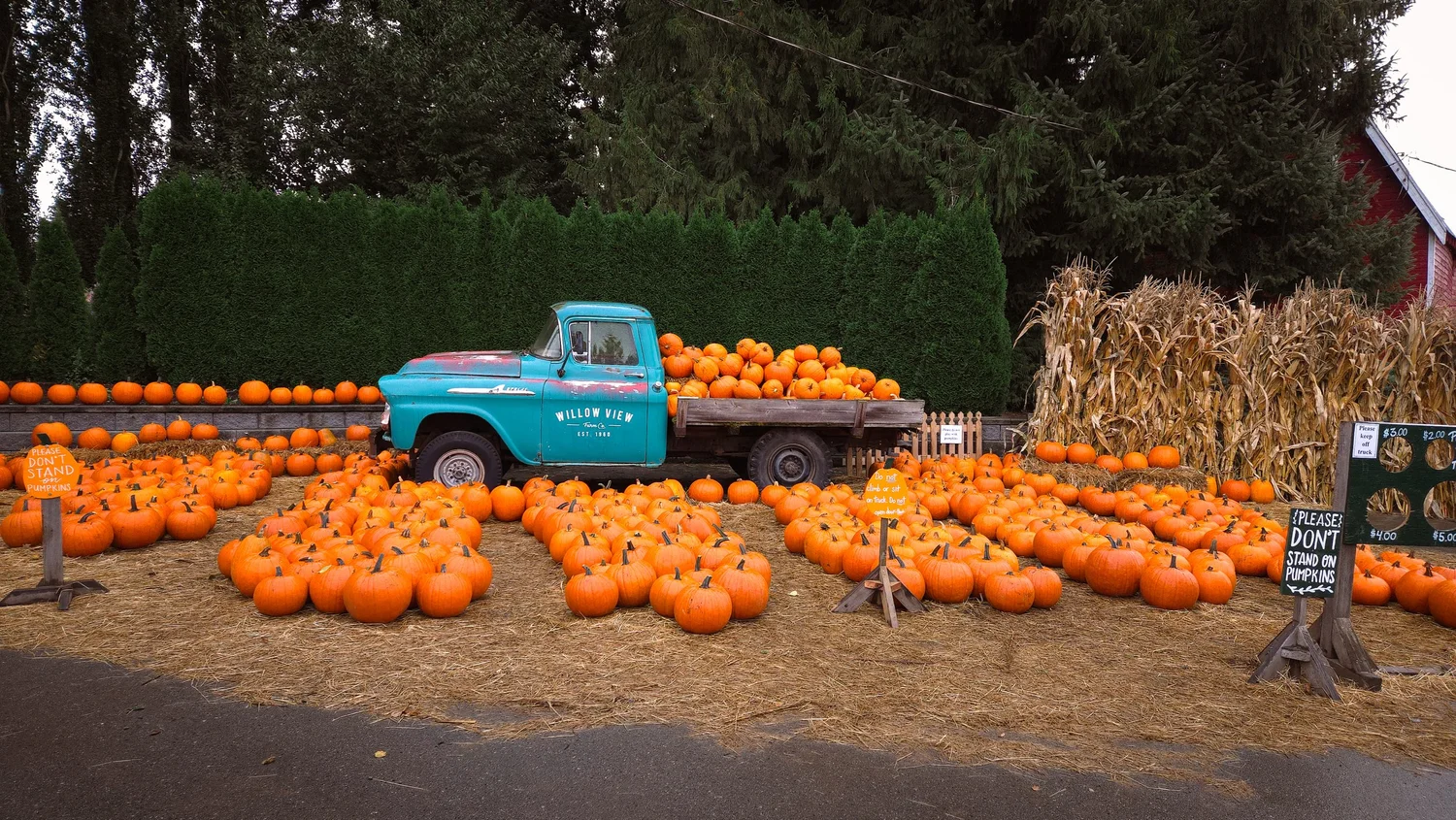 Willow View Farms