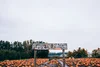 Willow View Farms