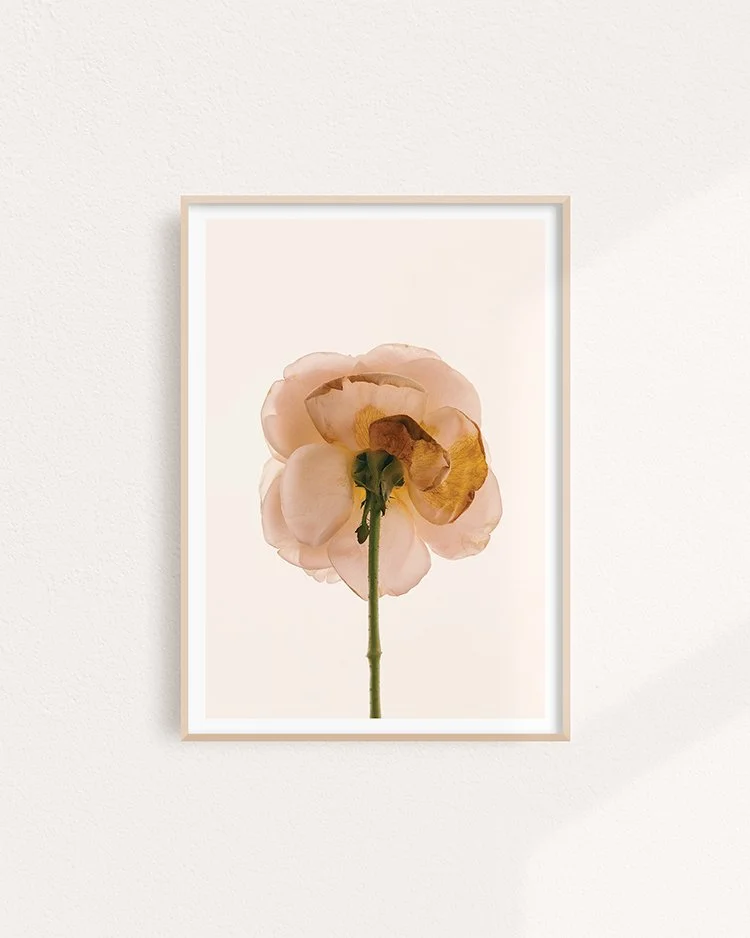 SHOP — STUDIO JASMINE