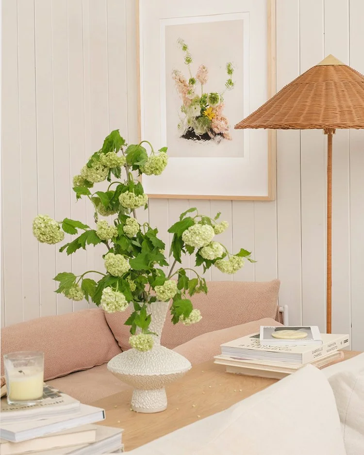 SHOP — STUDIO JASMINE