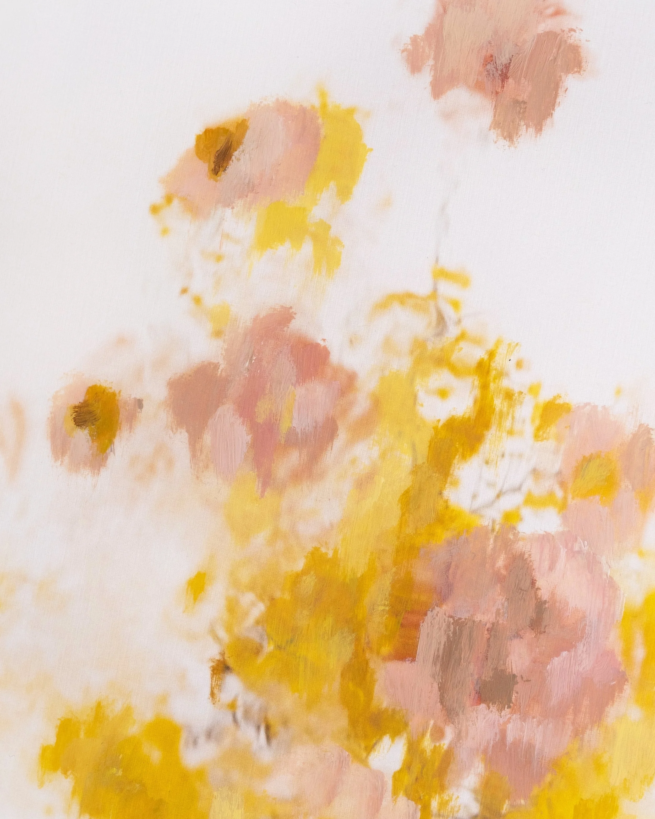 SHOP — STUDIO JASMINE