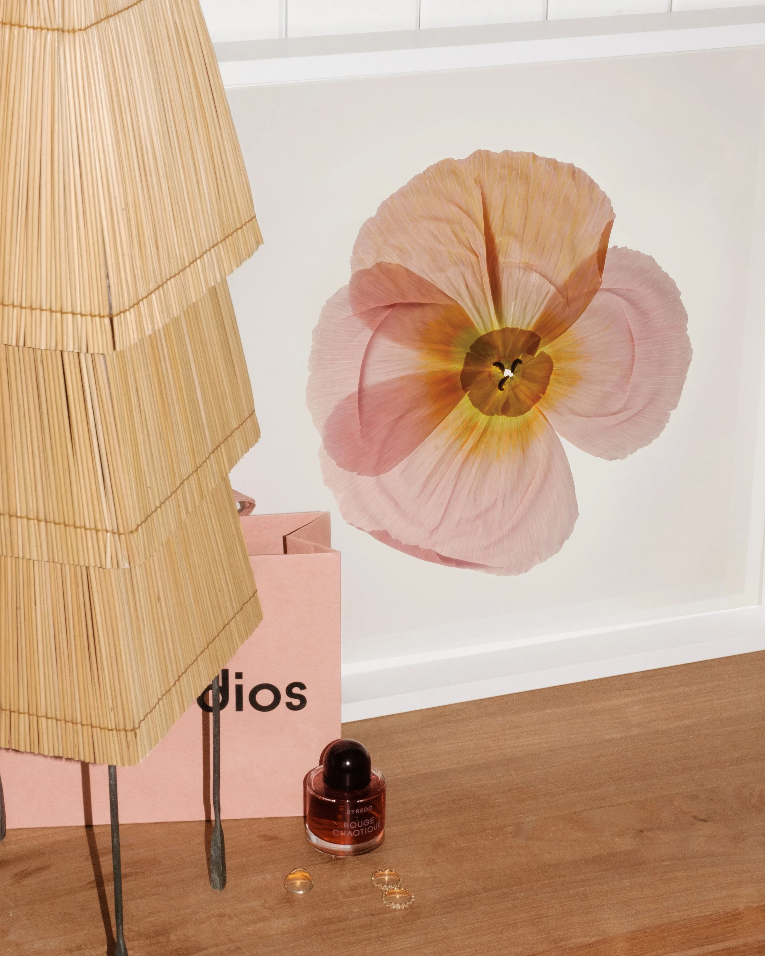 SHOP — STUDIO JASMINE