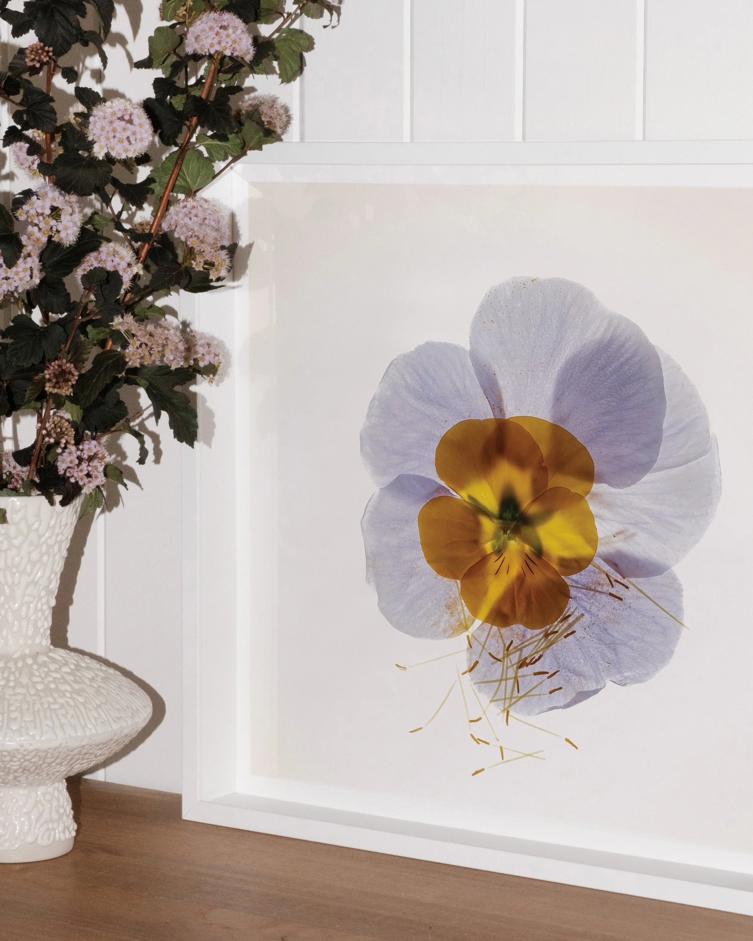 SHOP — STUDIO JASMINE