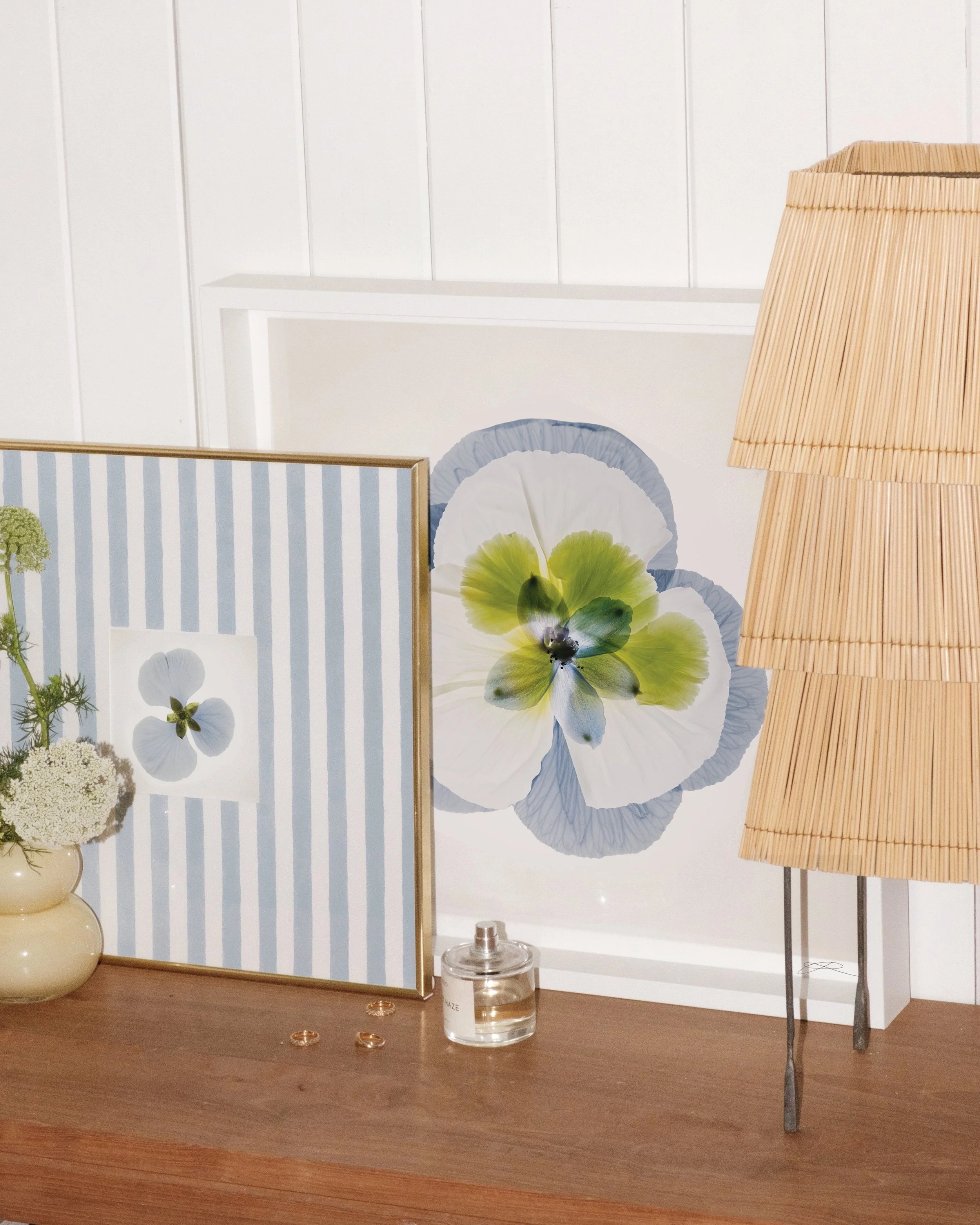 SHOP — STUDIO JASMINE