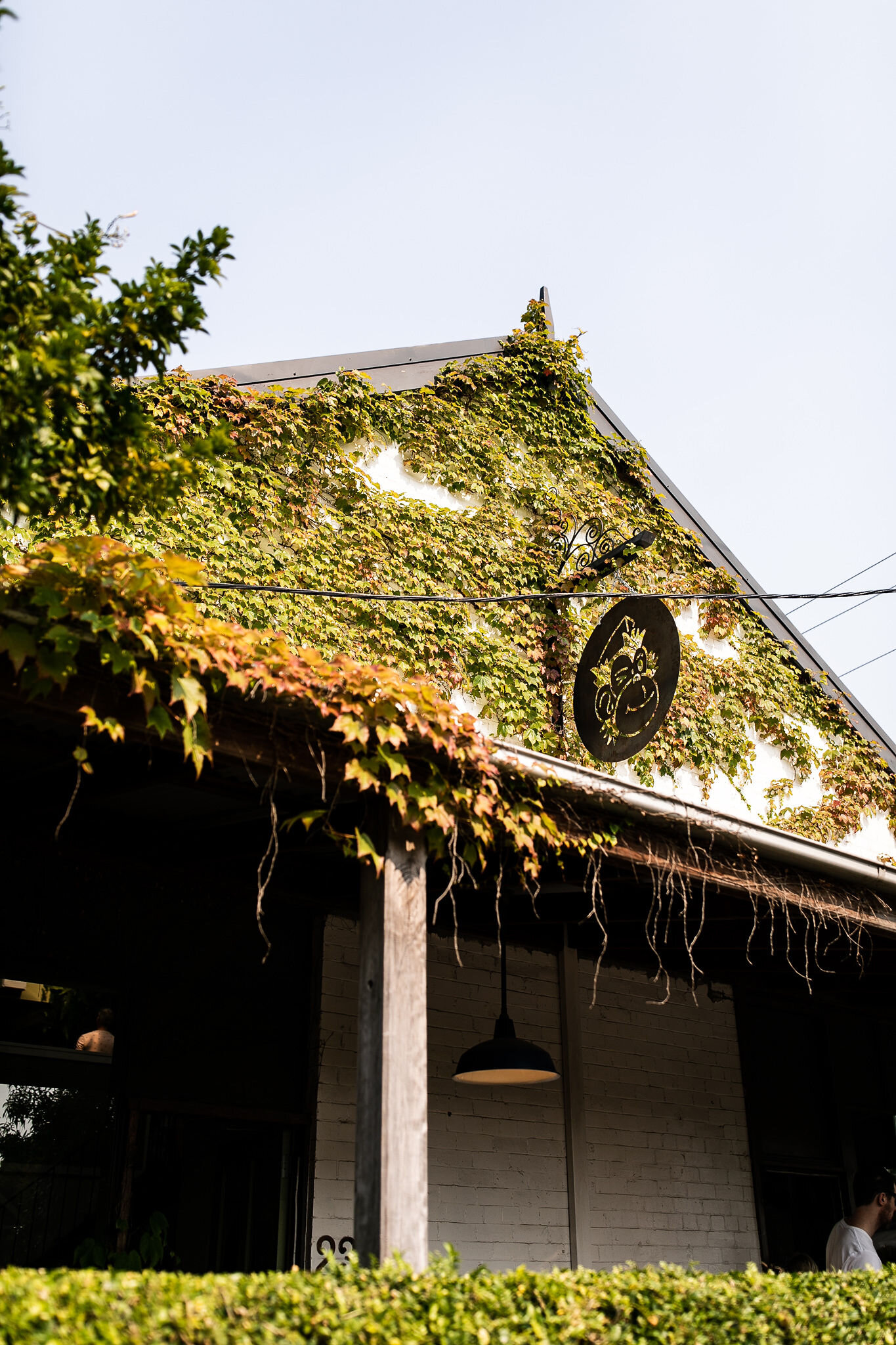 Gallery — The Hungry Monkey