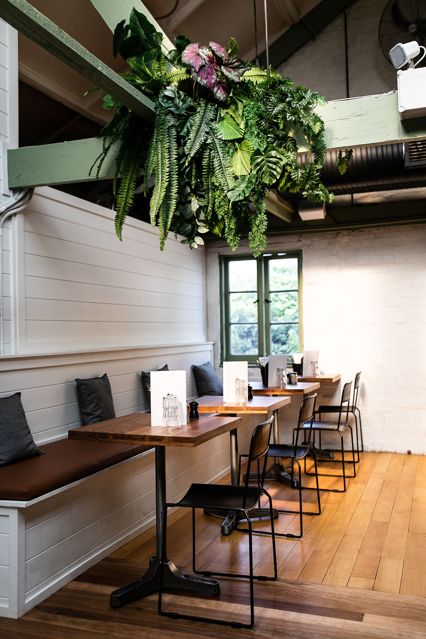 Gallery — The Hungry Monkey