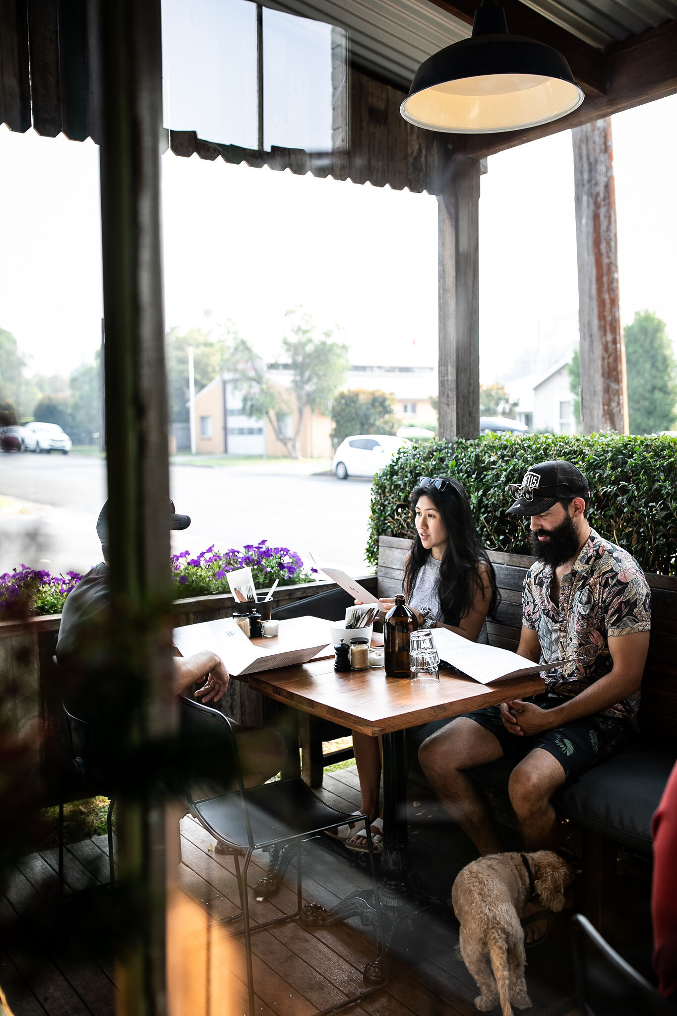 Gallery — The Hungry Monkey