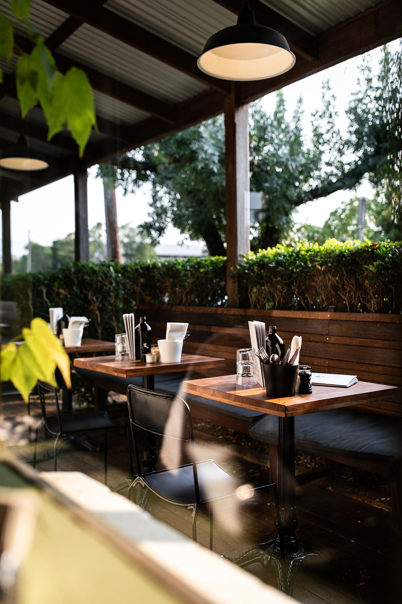 Gallery — The Hungry Monkey