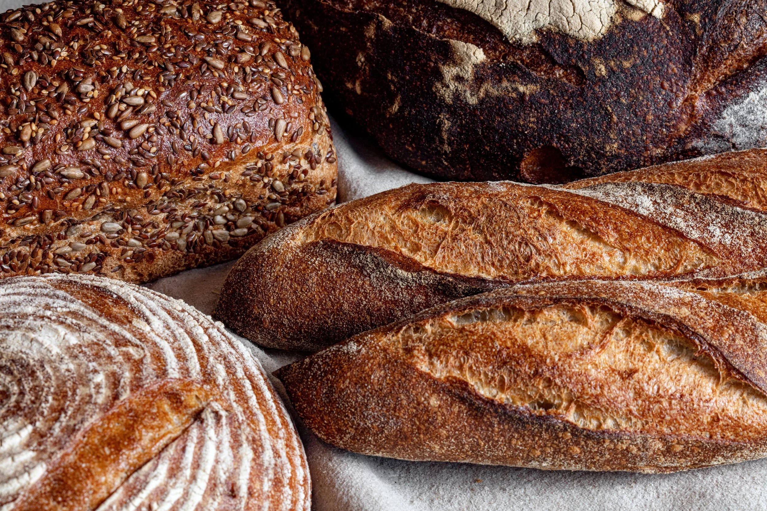 Breads — Bread Alone