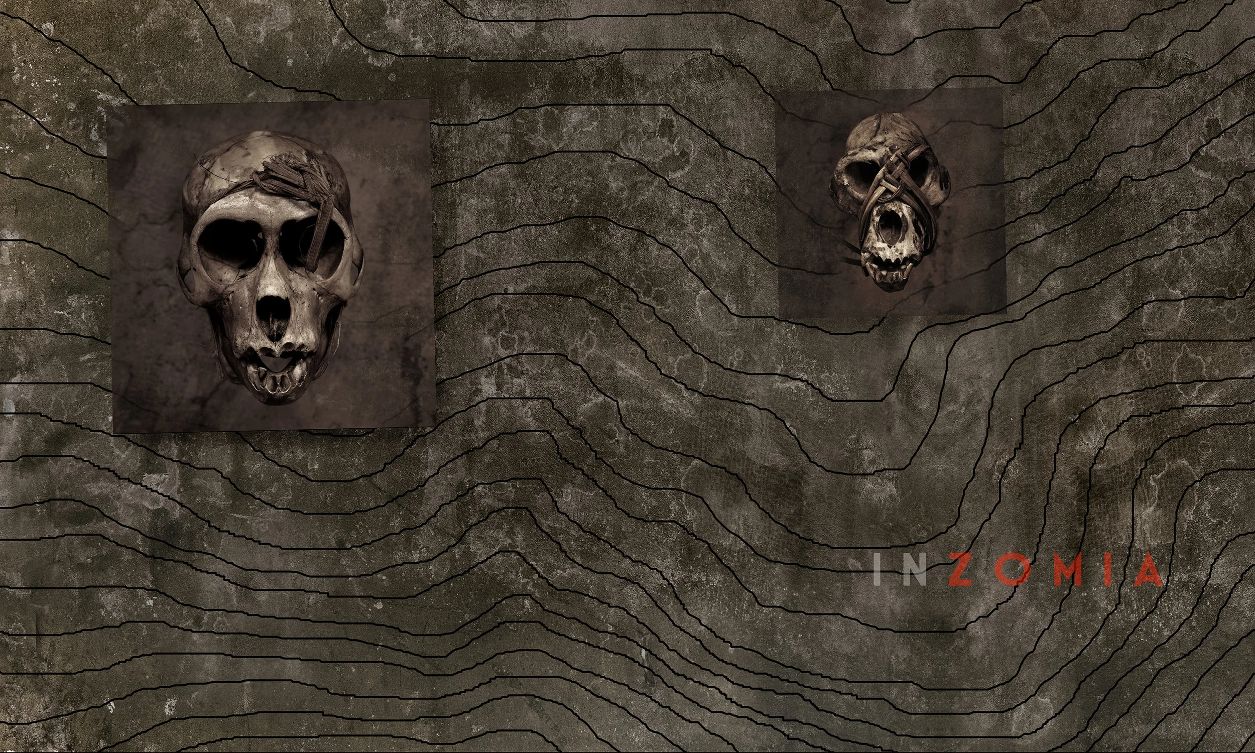 Zomia — Dispatches