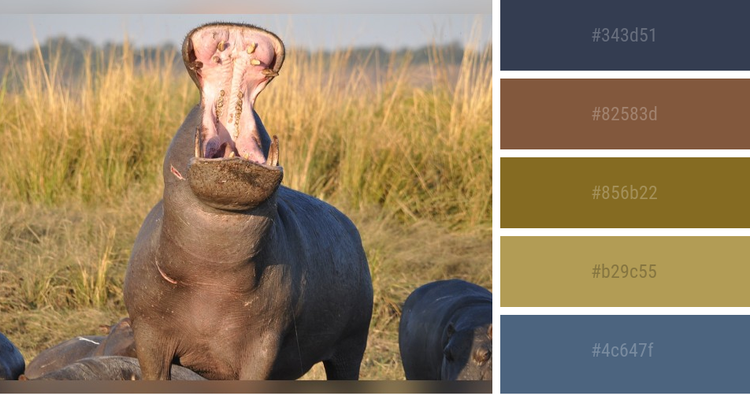 Safari Theme Nursery - How to Design an Elegant Yet Whimsical Safari ...