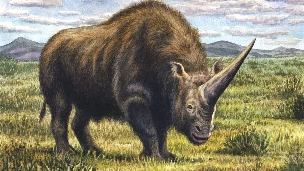 Are Unicorns Real? Yes and No - A Visual History of the Unicorn — Chub ...
